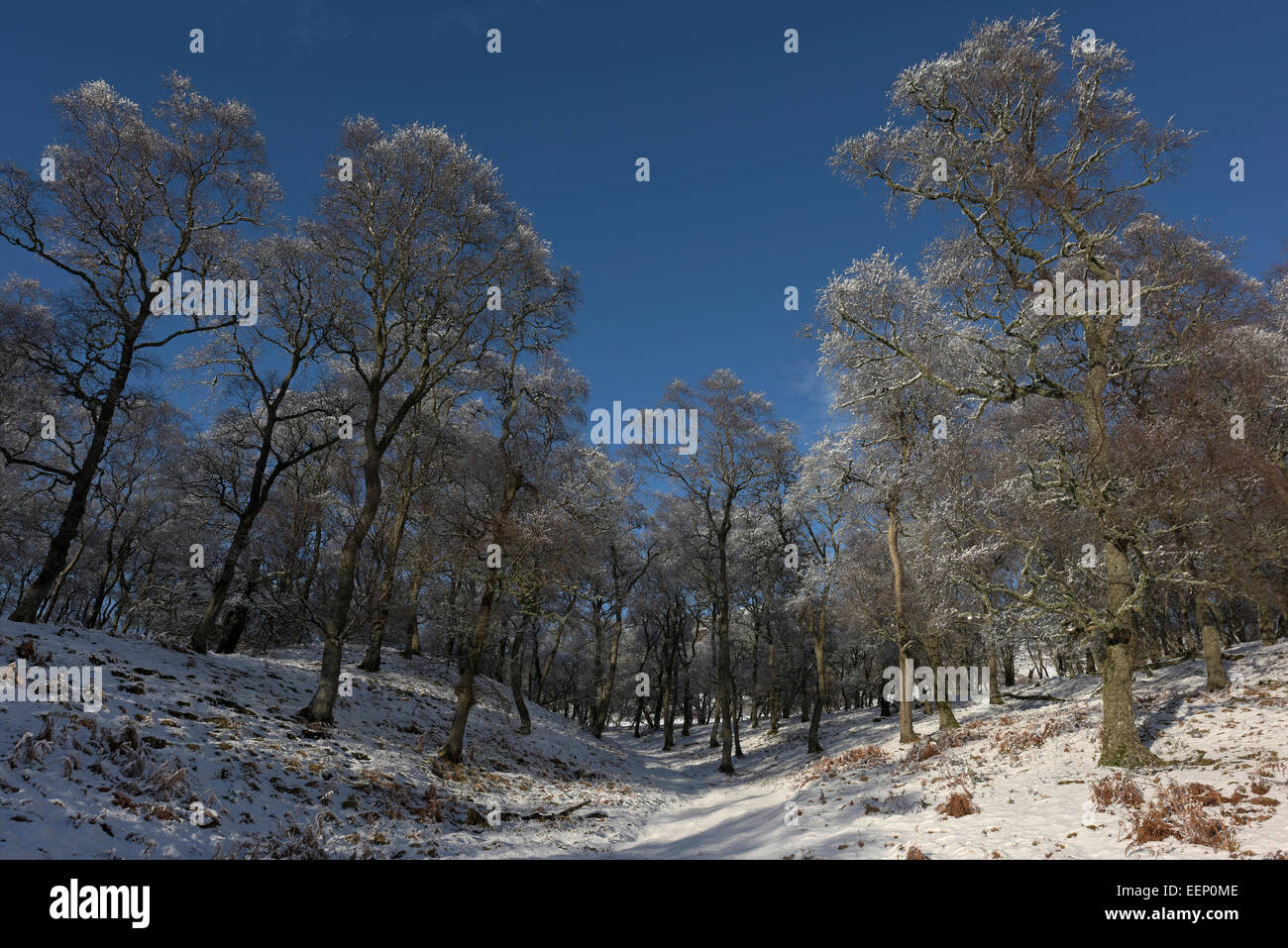Glen Esk, Angus, Scotland in Winter Stock Photo - Alamy