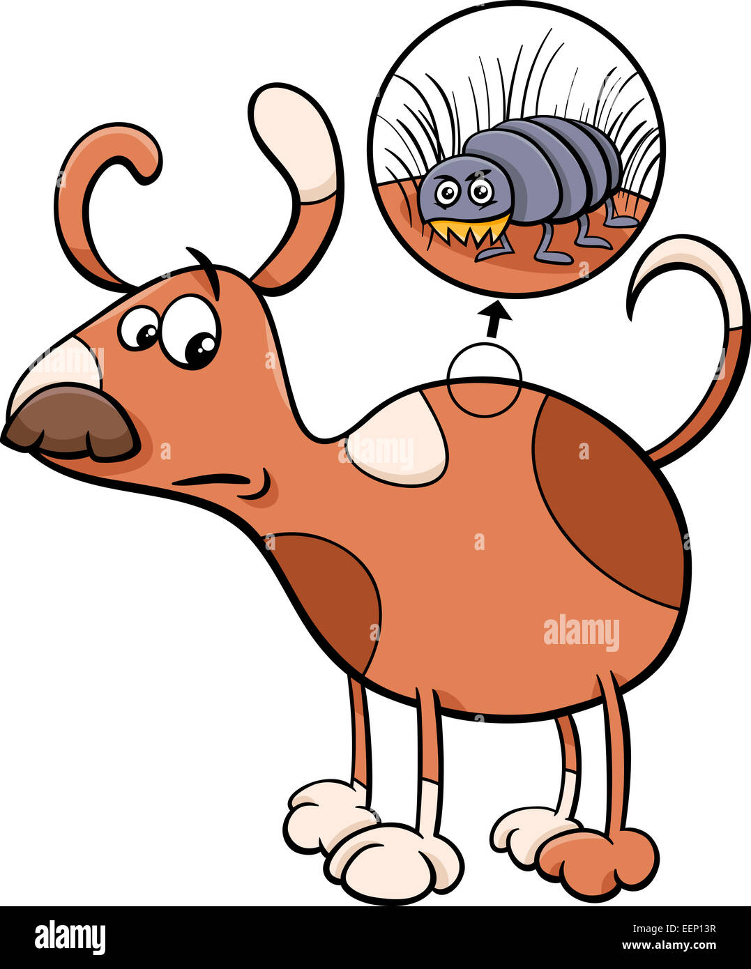 Cartoon Illustration of Funny Dog with Flea in his Hair Stock Photo - Alamy