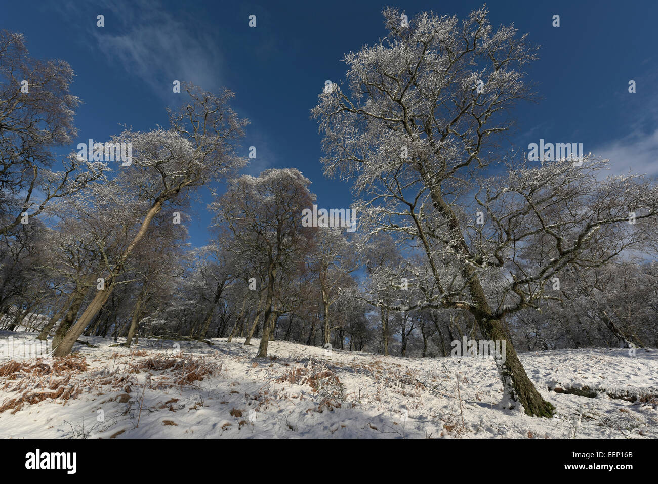 Glen Esk, Angus, Scotland in Winter Stock Photo - Alamy
