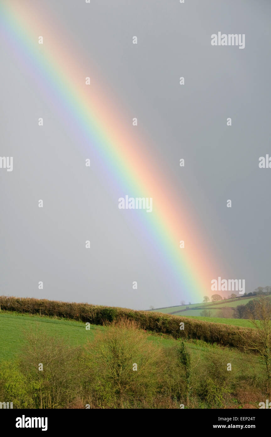 Impressive rainbow looking east from Bradninch, Devon Stock Photo - Alamy