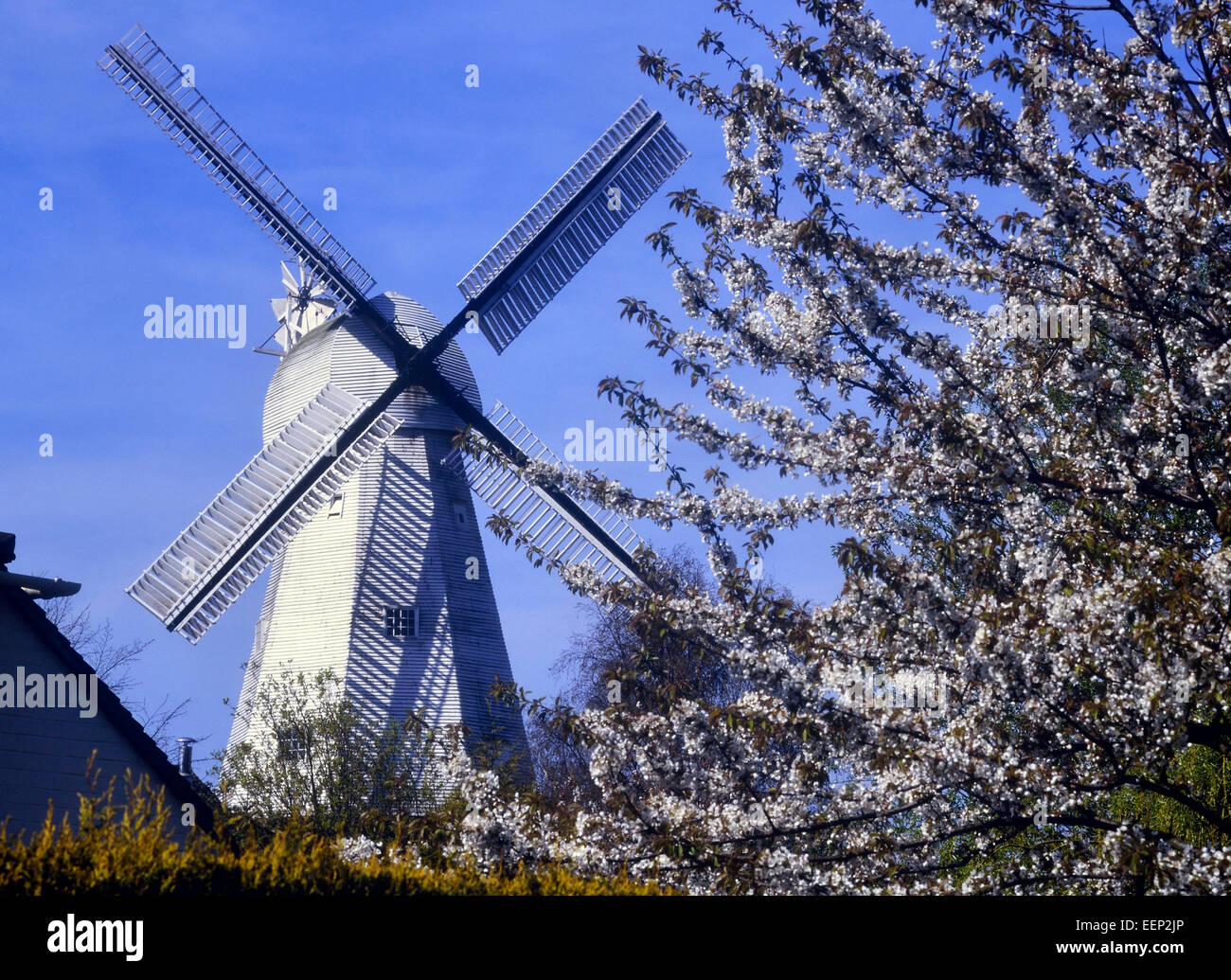 Union Mill, a Smock windmill. Cranbrook, Kent, England Stock Photo - Alamy
