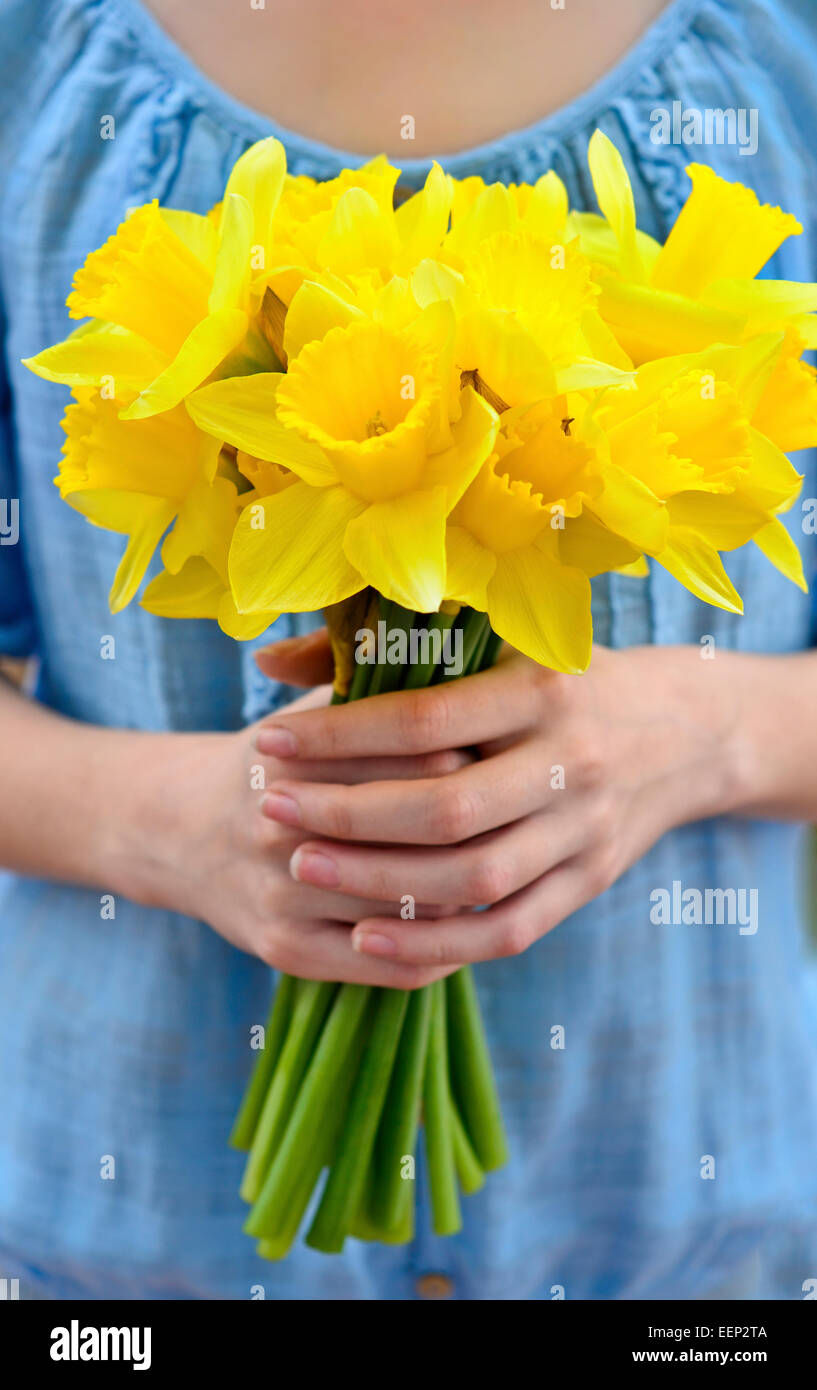Daffodil bunch hi-res stock photography and images - Alamy