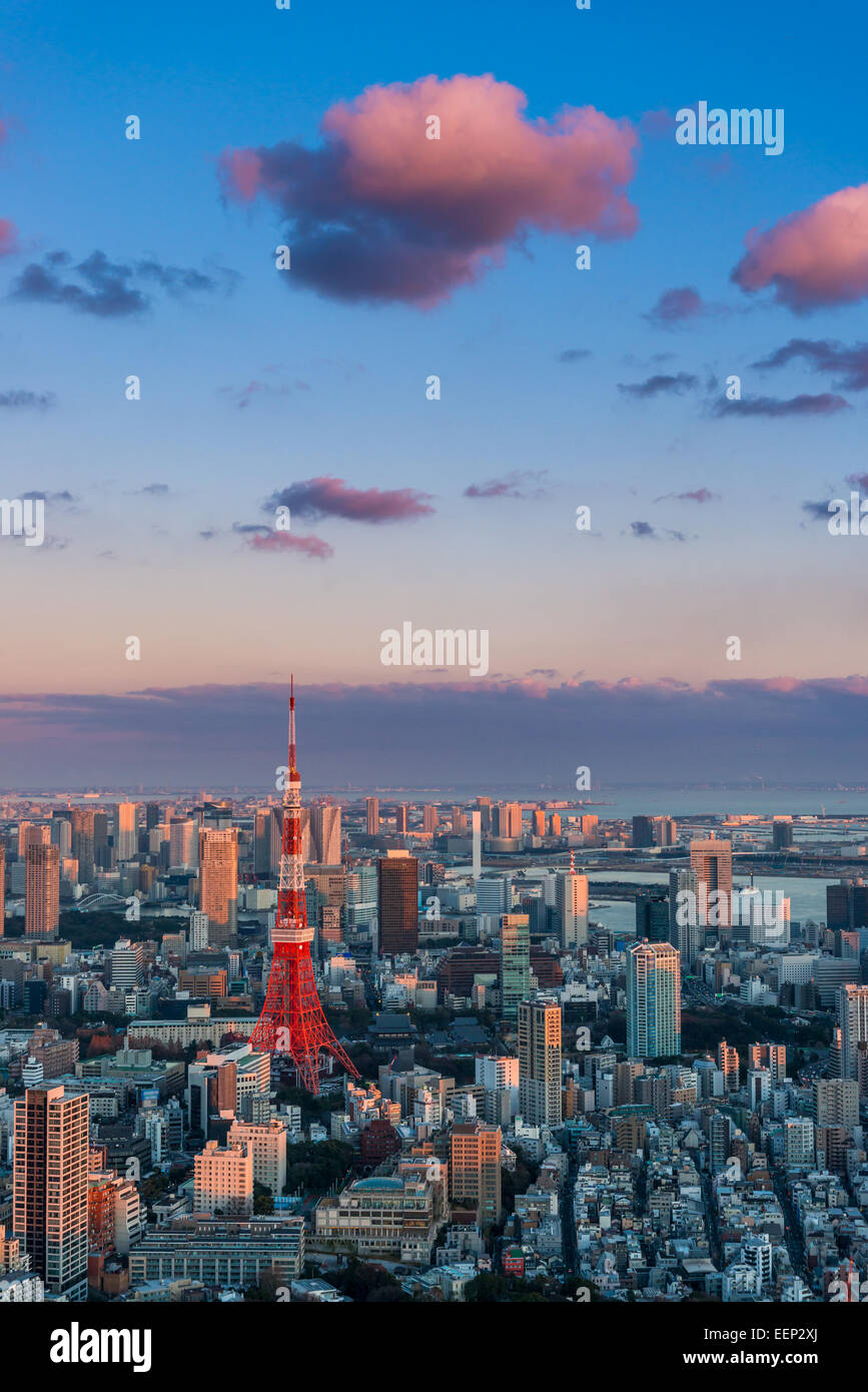 Tokyo Tower stands out among the Tokyo cityscape as evening approaches ...