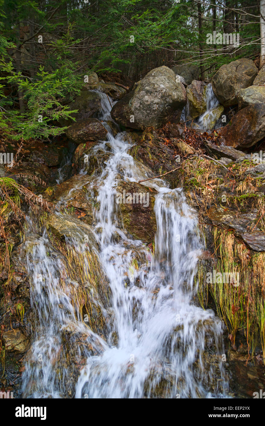 Gentle flow of a natural water runoff from a forest onto rocks Stock ...