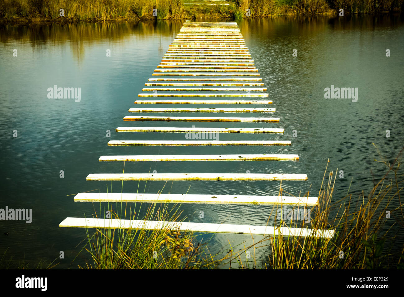 An art installation of floating steps apparently crossing over water ...