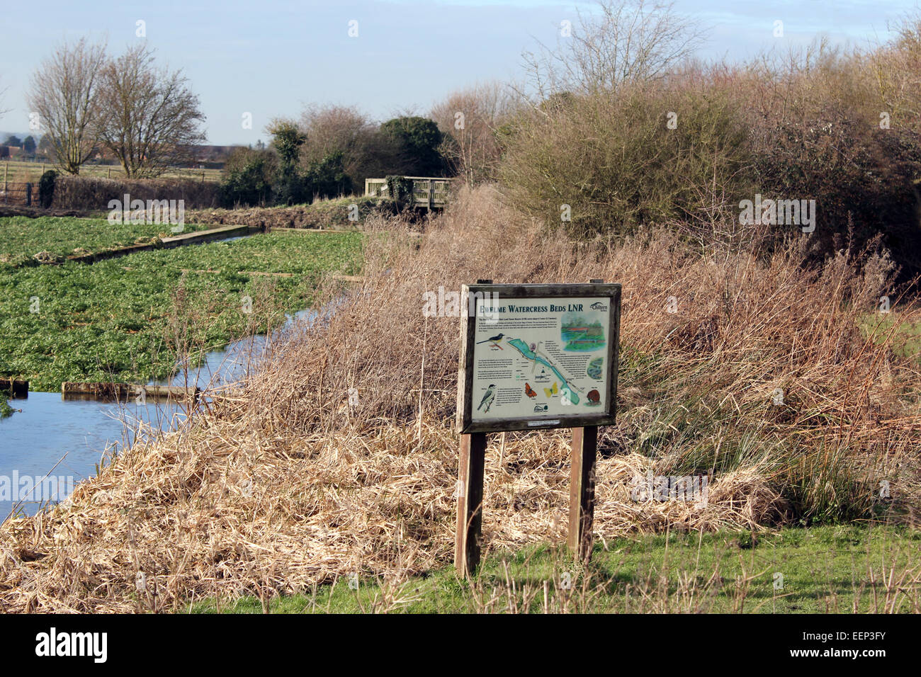Ewelme Watercress Beds and local nature reserve Oxfordshire Stock Photo ...