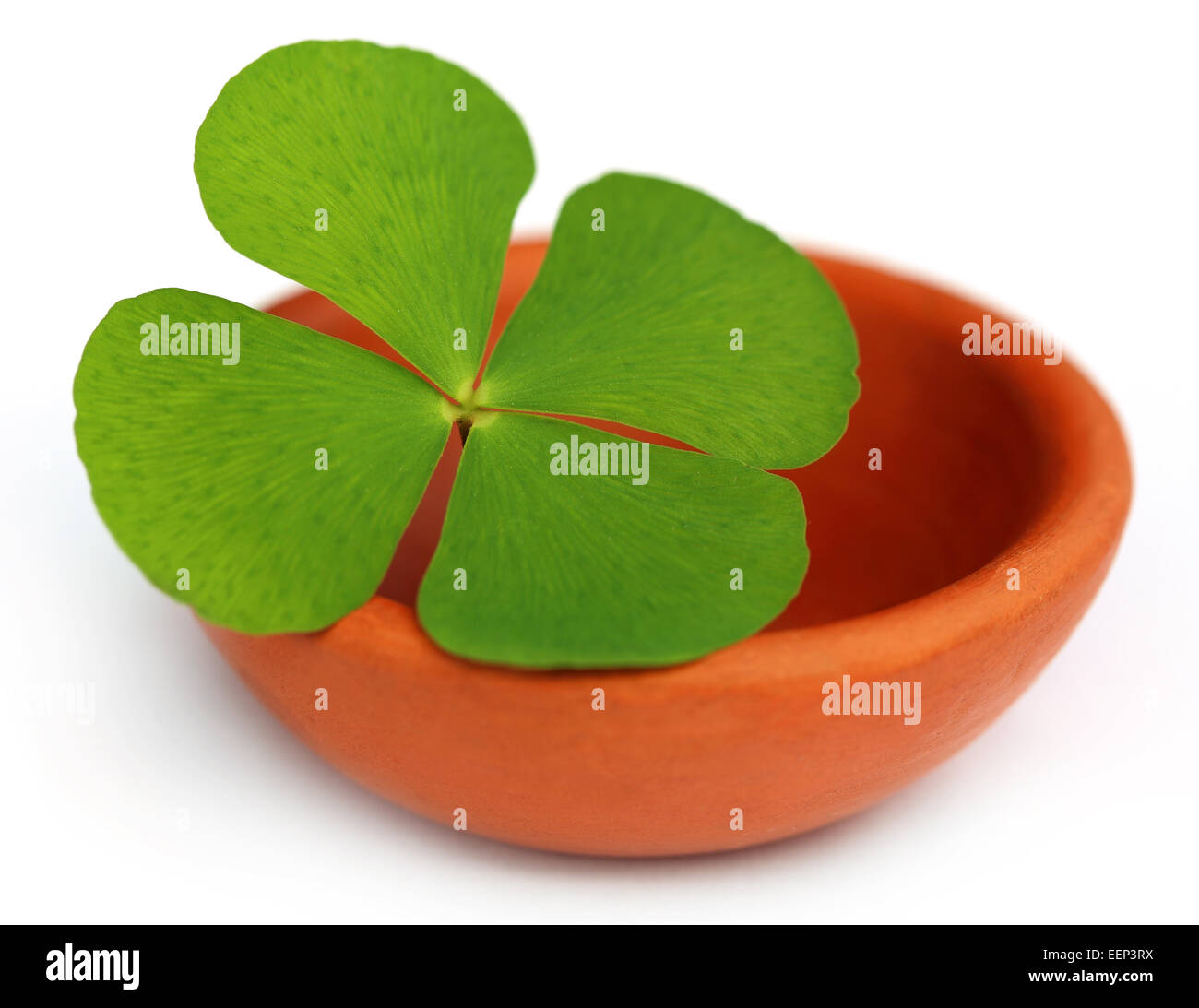 Irish pottery tradition hi-res stock photography and images - Alamy