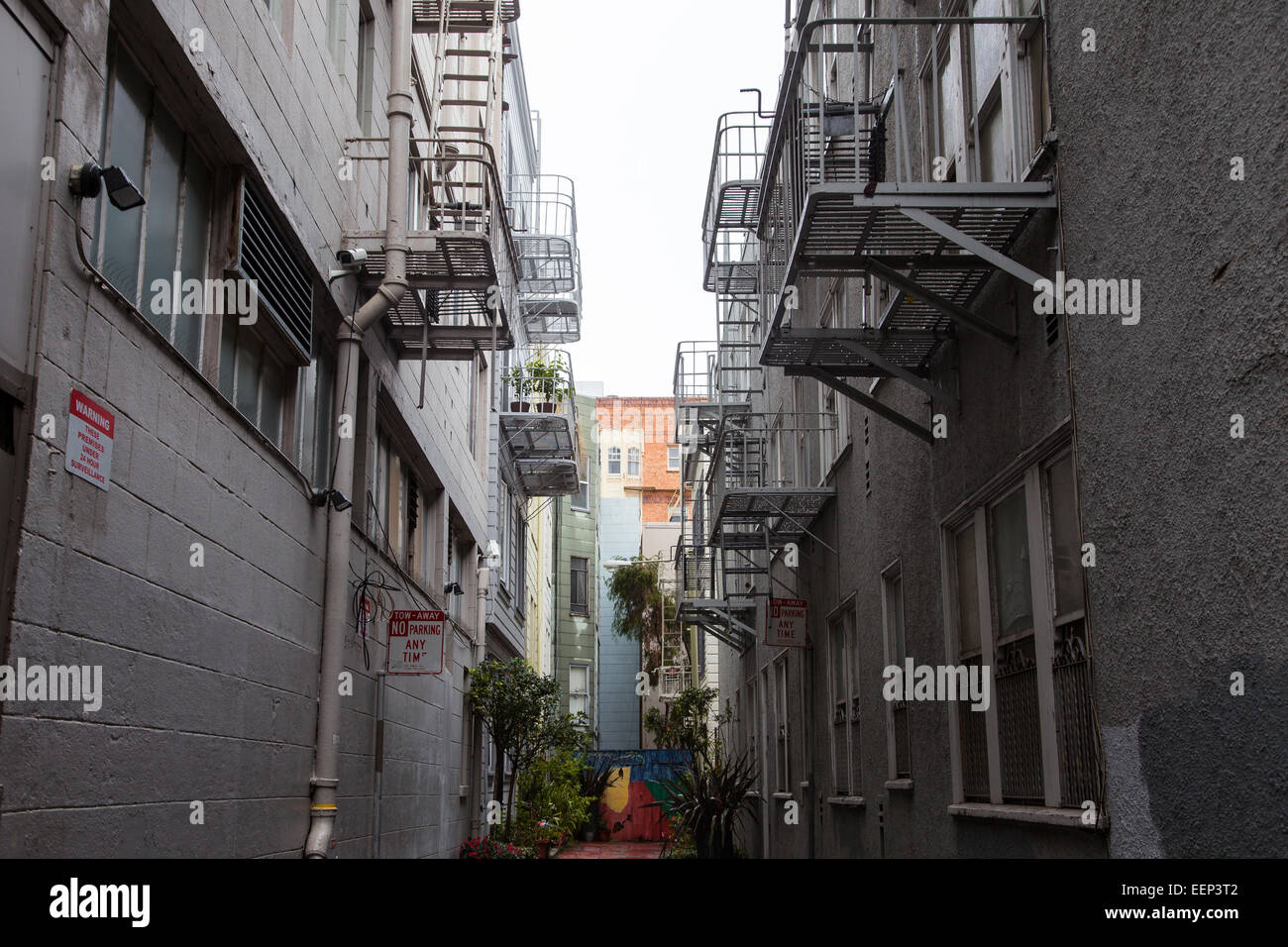 Alleyway near Nob Hill, in San Francisco, California Stock Photo - Alamy
