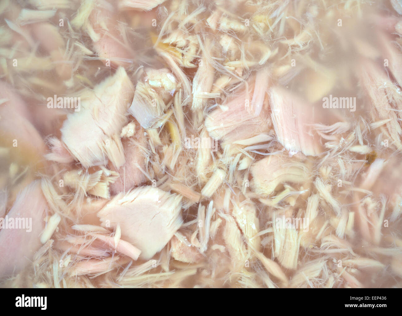 Tuna water hi-res stock photography and images - Alamy