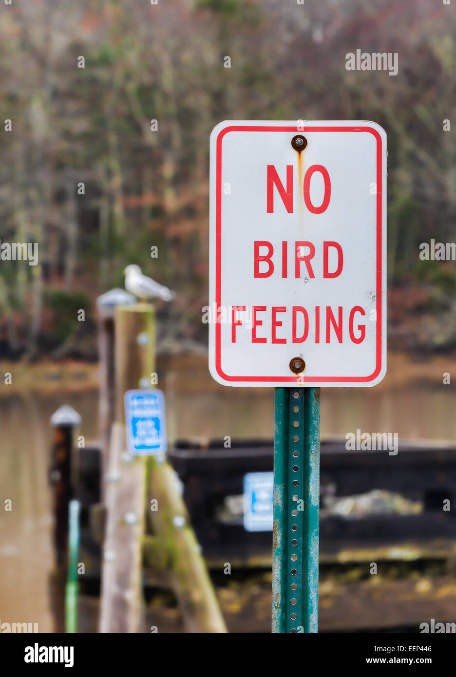 No feeding sign hi-res stock photography and images - Alamy