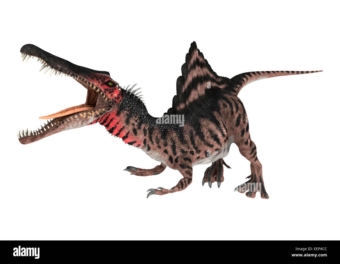3D digital render of a crying Cretaceous dinosaur Spinosaurus or spiny ...
