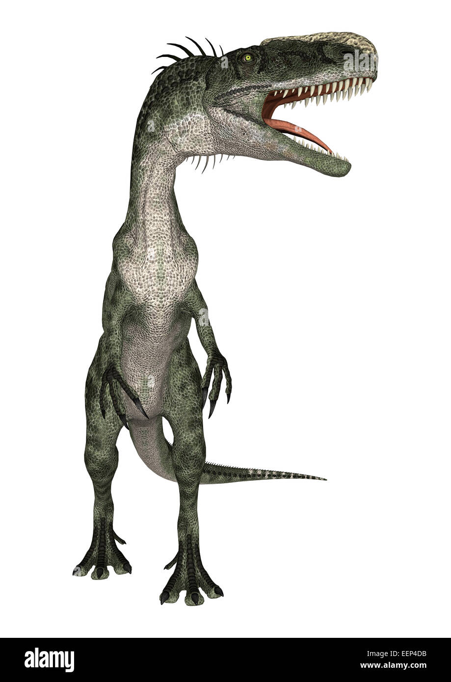 3D digital render of a dinosaur Monolophosaurus isolated on white ...