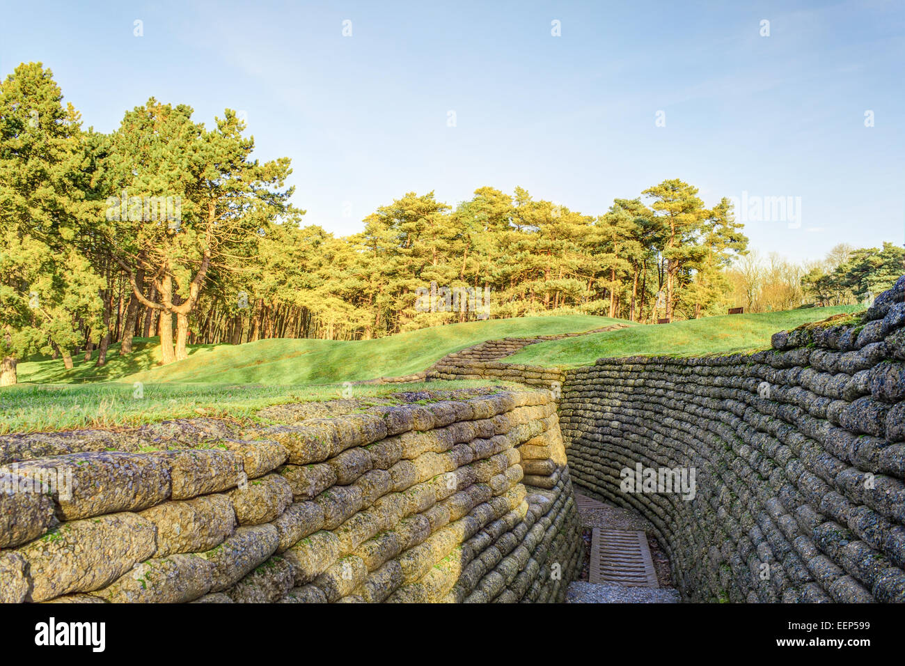 Ww1 battlefield barbed wire hi-res stock photography and images - Alamy