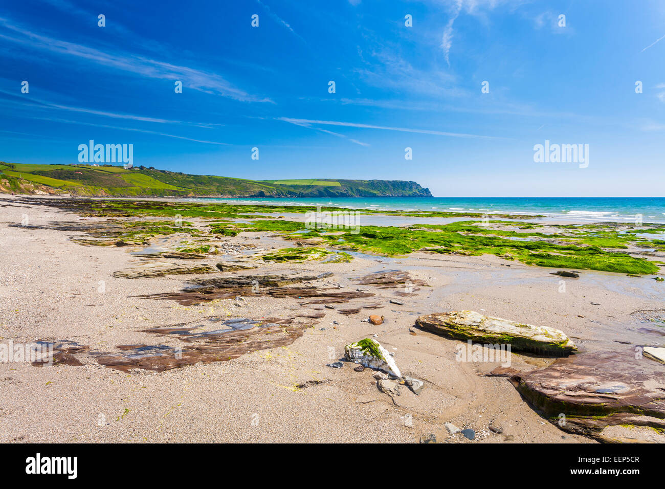 Pendower Beach on the Roseland Peninsula Cornwall England UK Stock ...