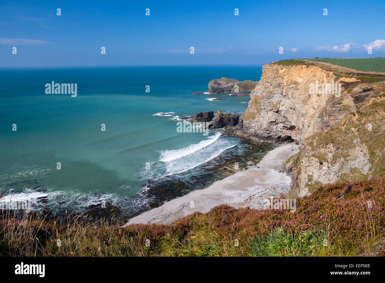Overlooking Bassetts Cove in the North Cliffs Conservation Area ...