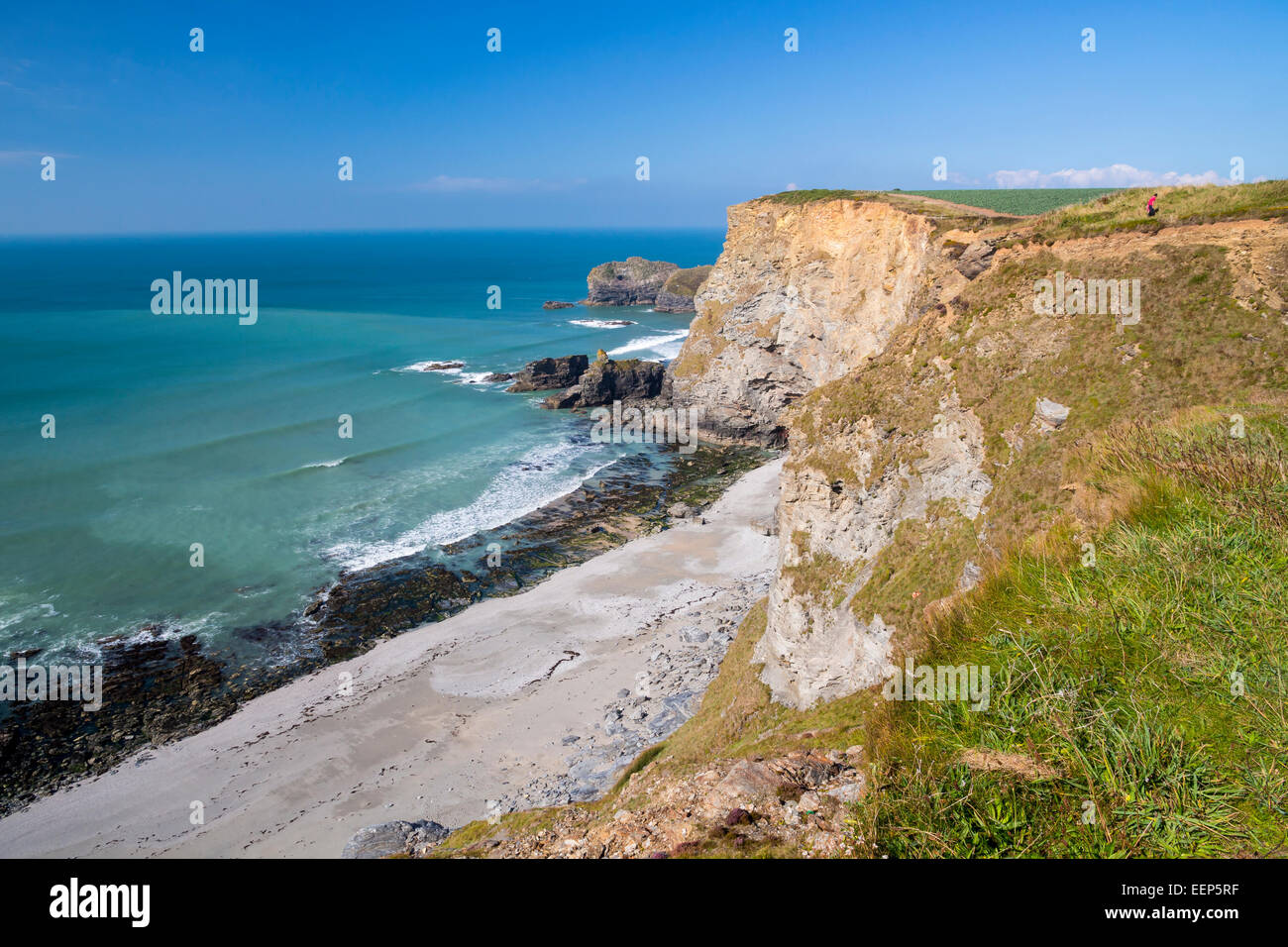 Overlooking Bassetts Cove in the North Cliffs Conservation Area ...