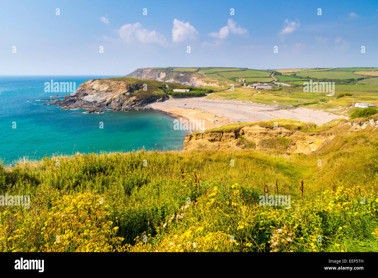 Overlooking the beach at Gunwalloe Church Cove Cornwall England UK ...