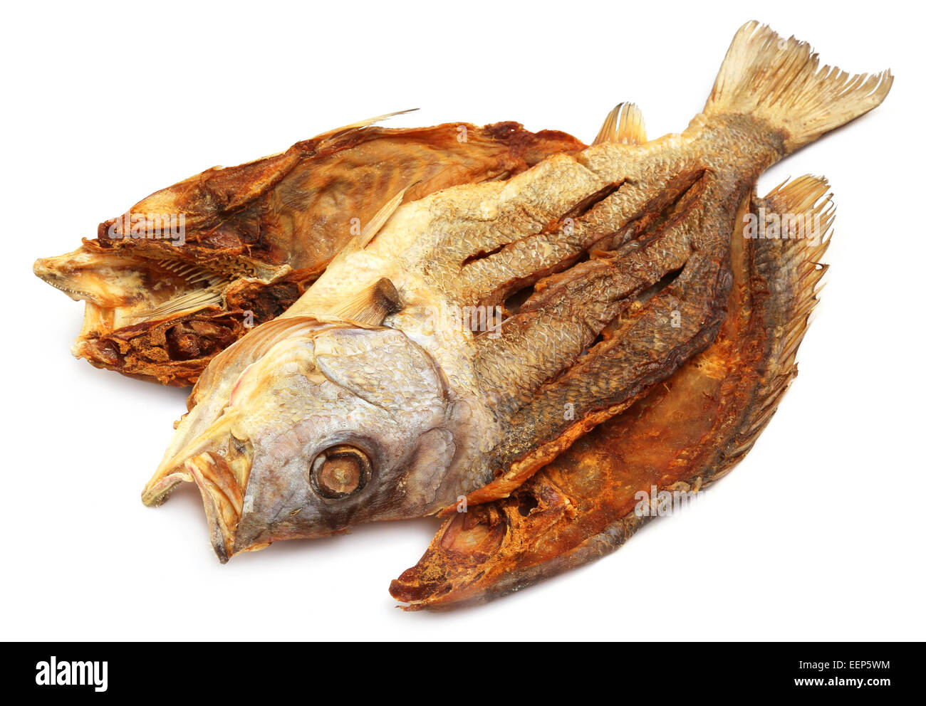 Barramundi fish hi-res stock photography and images - Alamy