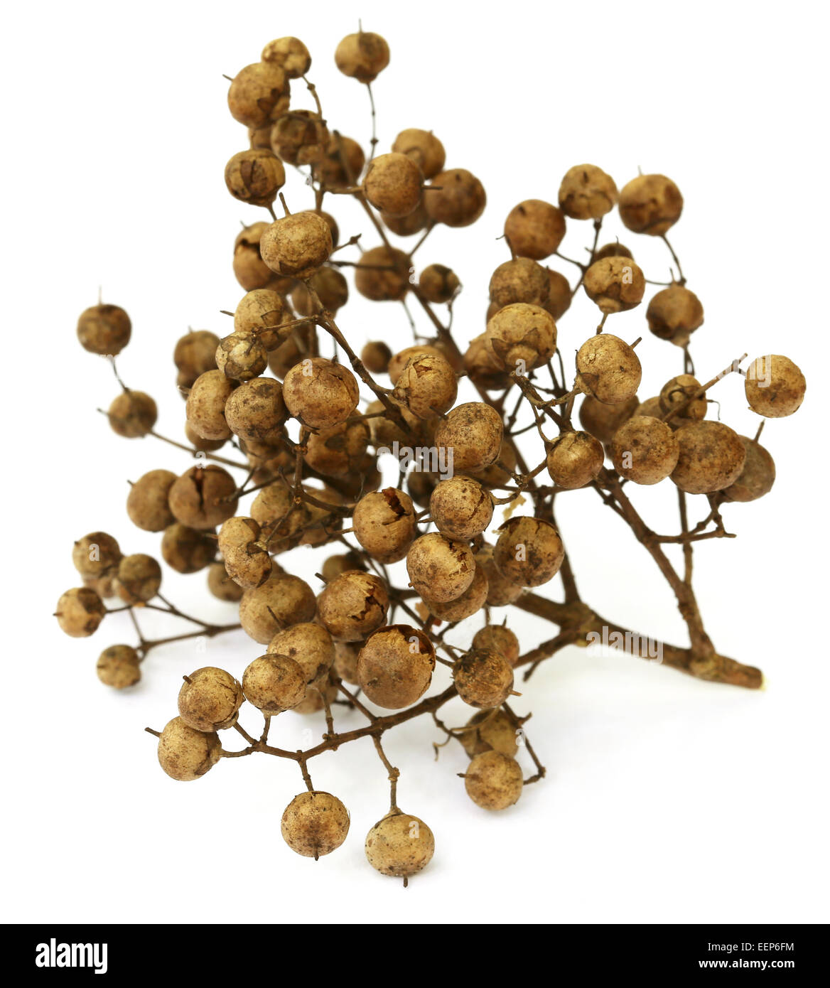 Henna seeds over white background Stock Photo - Alamy