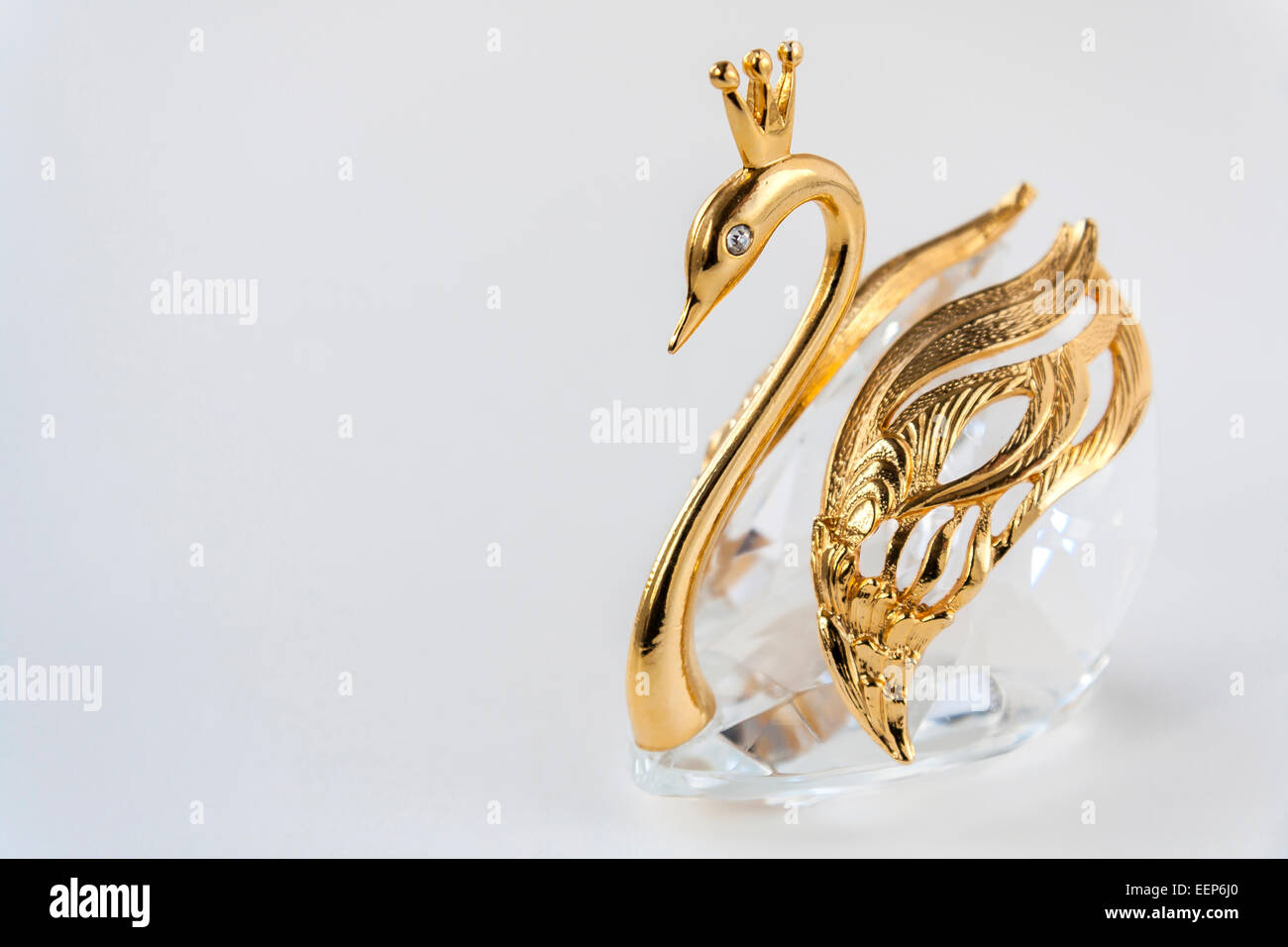 Golden swan hi-res stock photography and images - Alamy