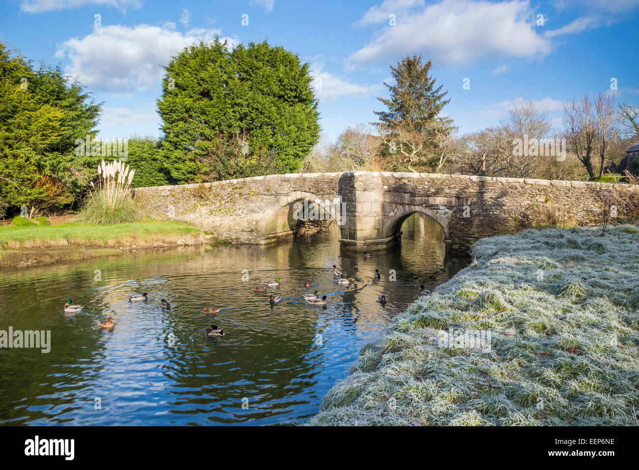 Lerryn village river hi-res stock photography and images - Alamy