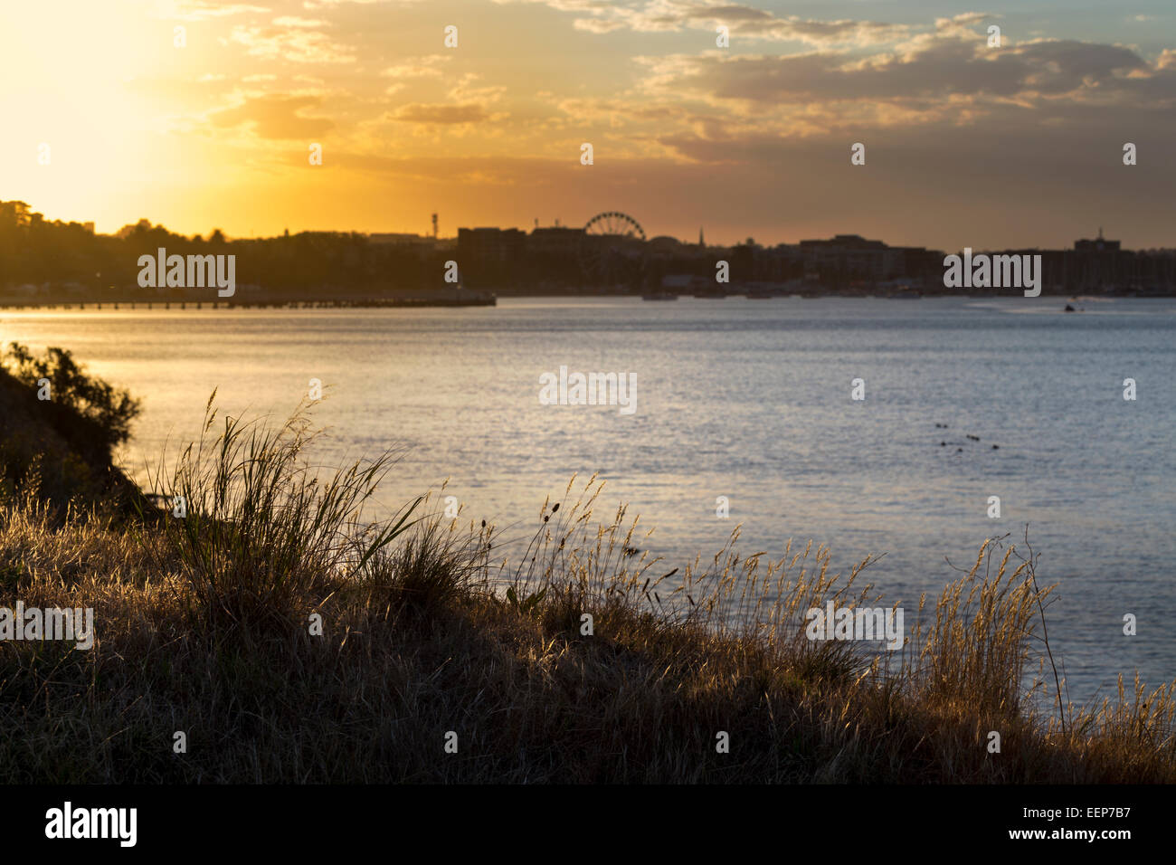 Golden sunset over Corio Bay Geelong, Victoria, Australia. Silhouette ...