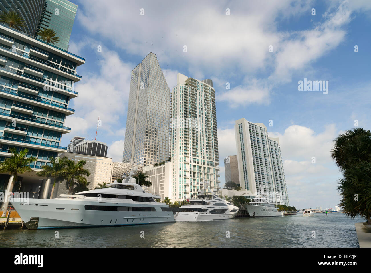 Luxury Condos, Downtown Miami, Florida, USA Stock Photo - Alamy