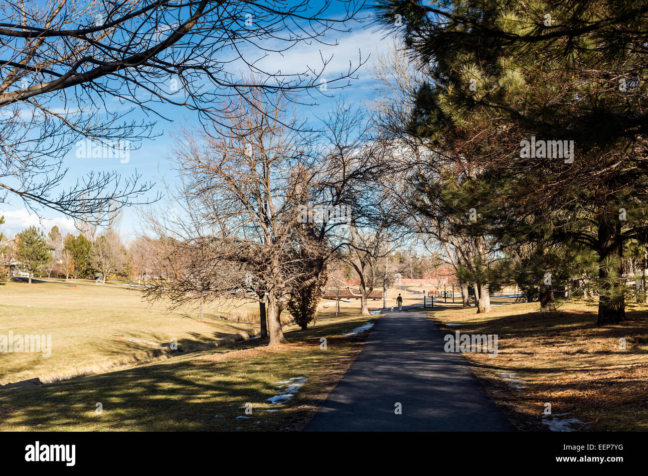 Typical suburban American park in late January Stock Photo - Alamy