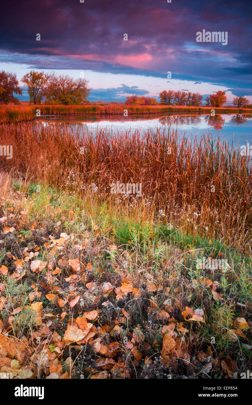 Colors of a morning sunrise paint the landscape over Lake Ladora in ...