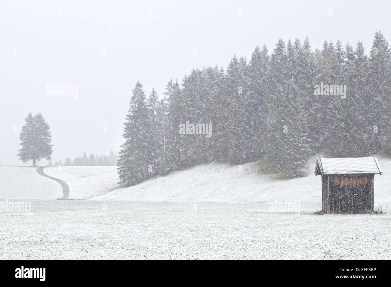 old hut and hills in heavy snowstorm, Germany Stock Photo - Alamy