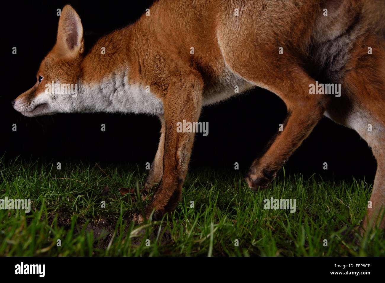 London ground level view hi-res stock photography and images - Alamy