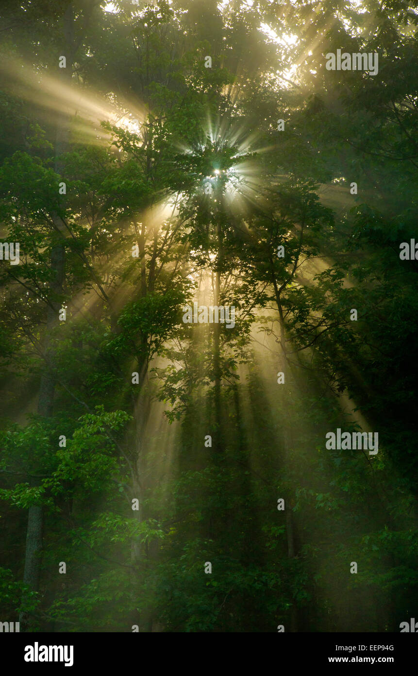 Sunrise with rays landscape hi-res stock photography and images - Alamy