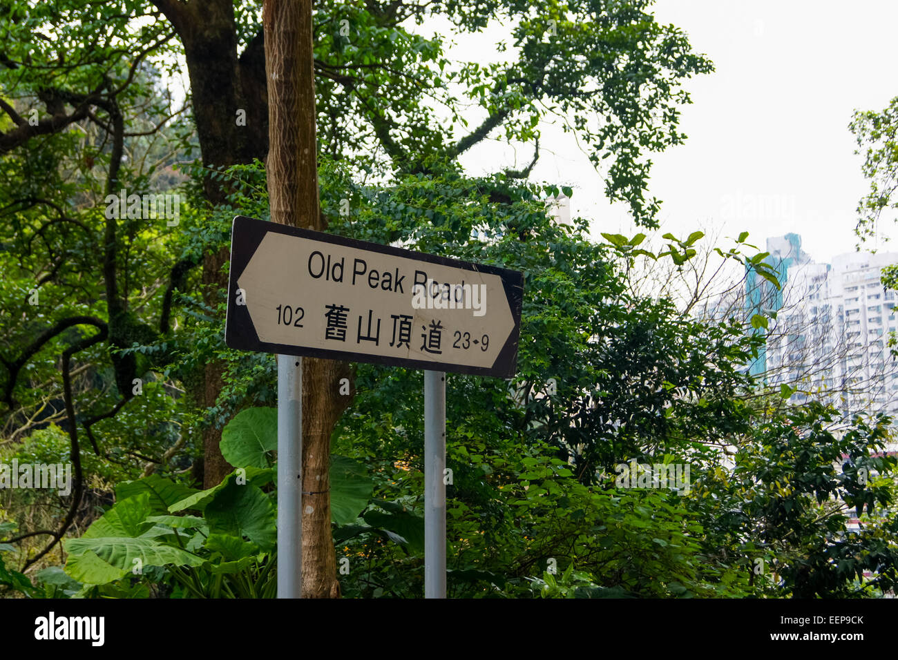 Old Peak Road sign in Hong Kong Stock Photo - Alamy
