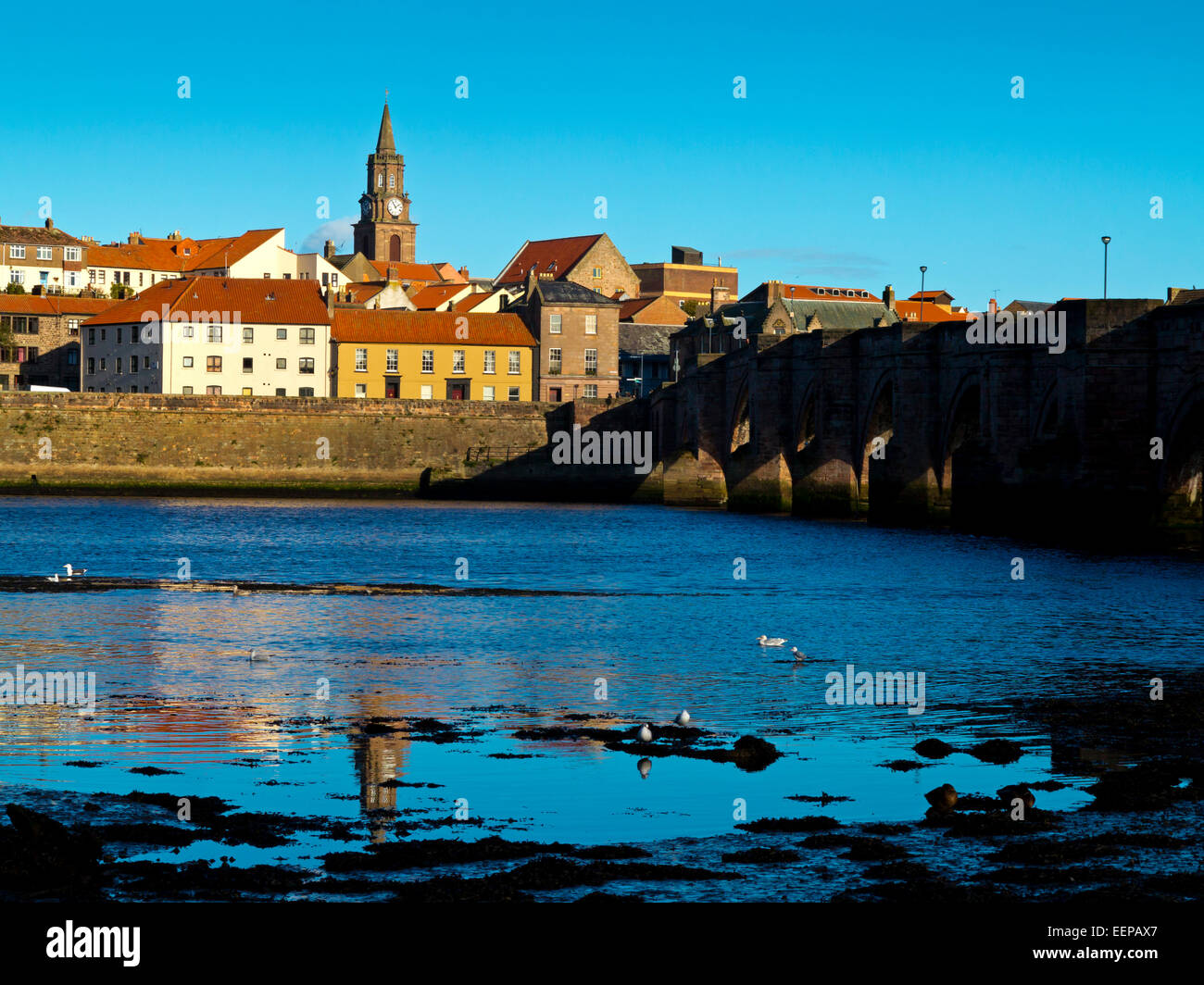 The Old Bridge at Berwick Upon Tweed Northumberland England UK built ...