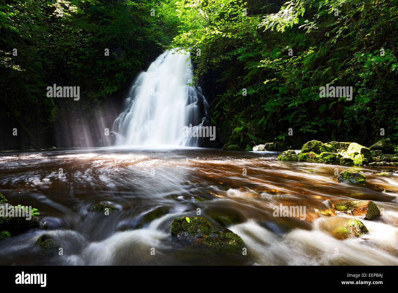 glenoe waterfall in county antrim ireland Stock Photo - Alamy