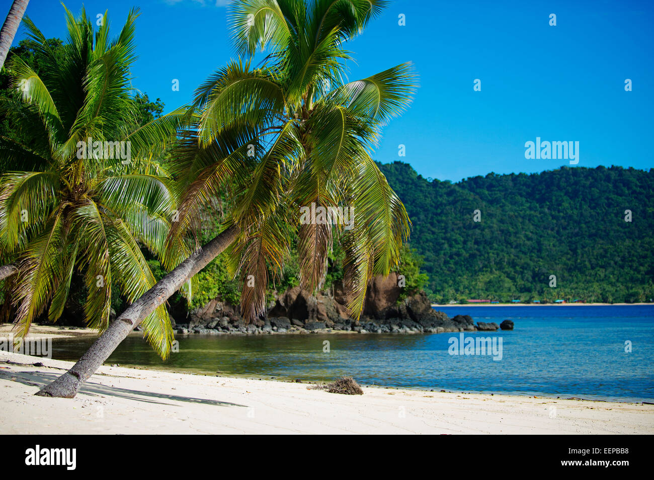 Fiji silhouette hi-res stock photography and images - Alamy