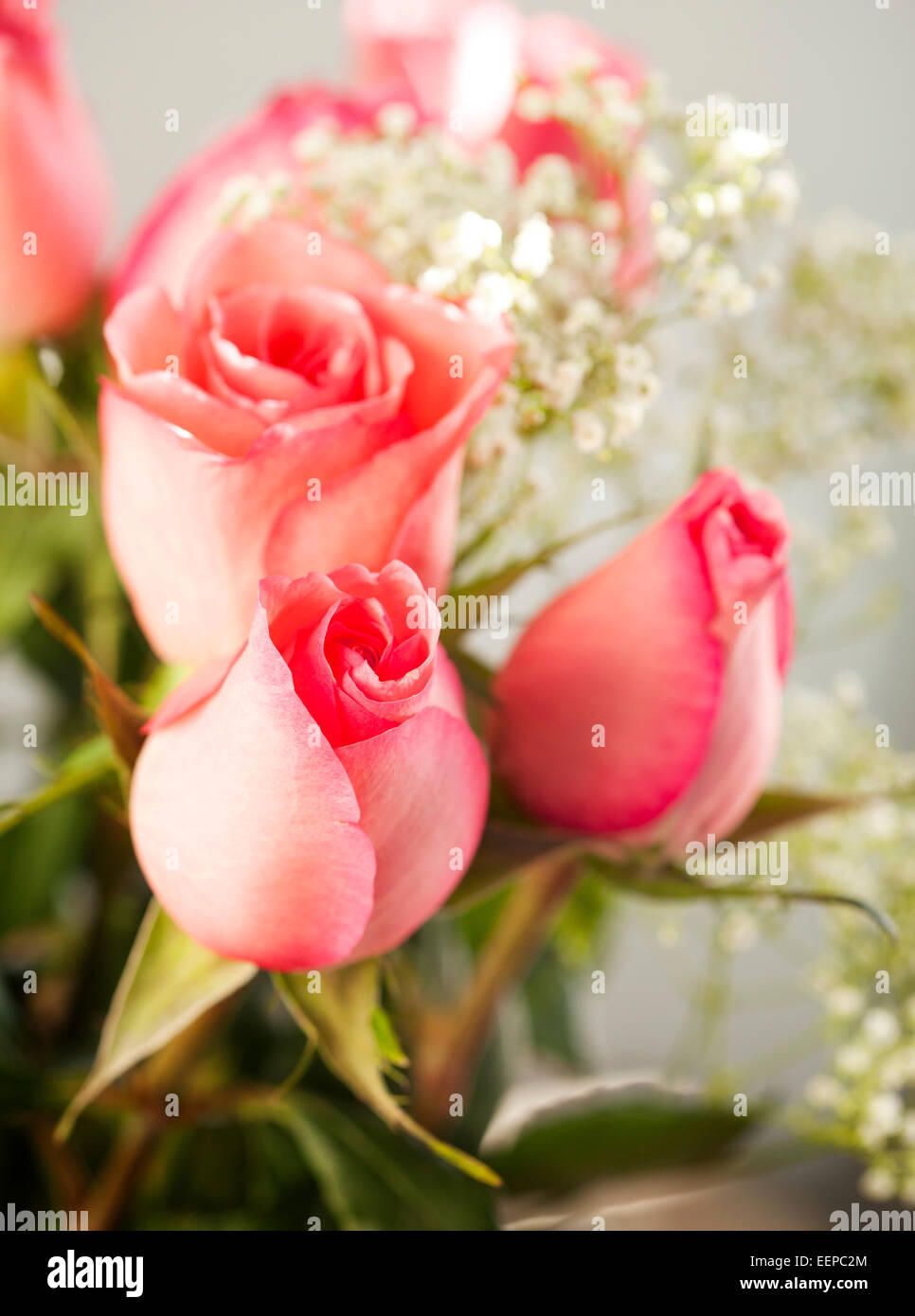 Pink roses bouquet Stock Photo - Alamy