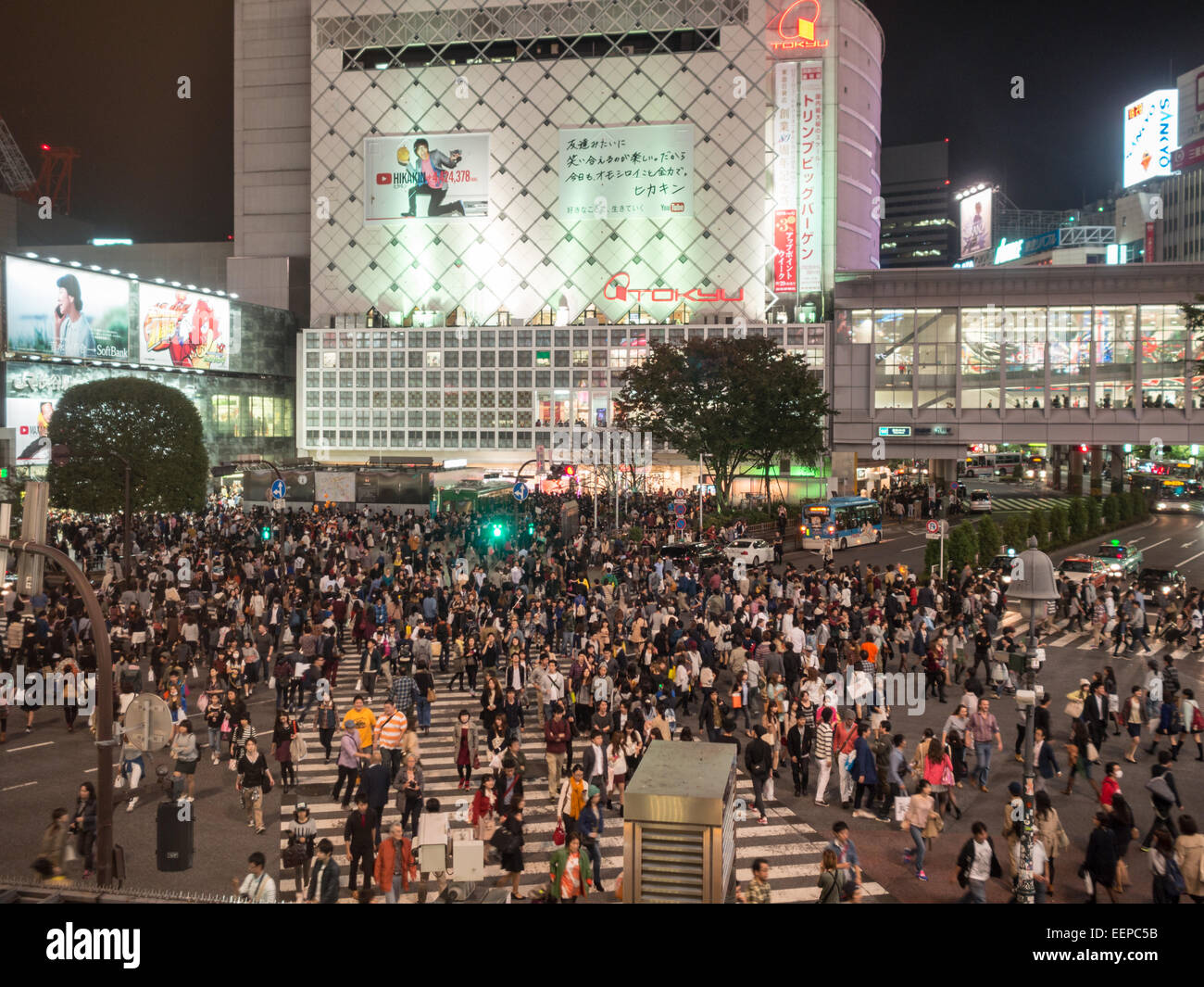 Crowd crossing the Shibuya road by the train station Stock Photo - Alamy