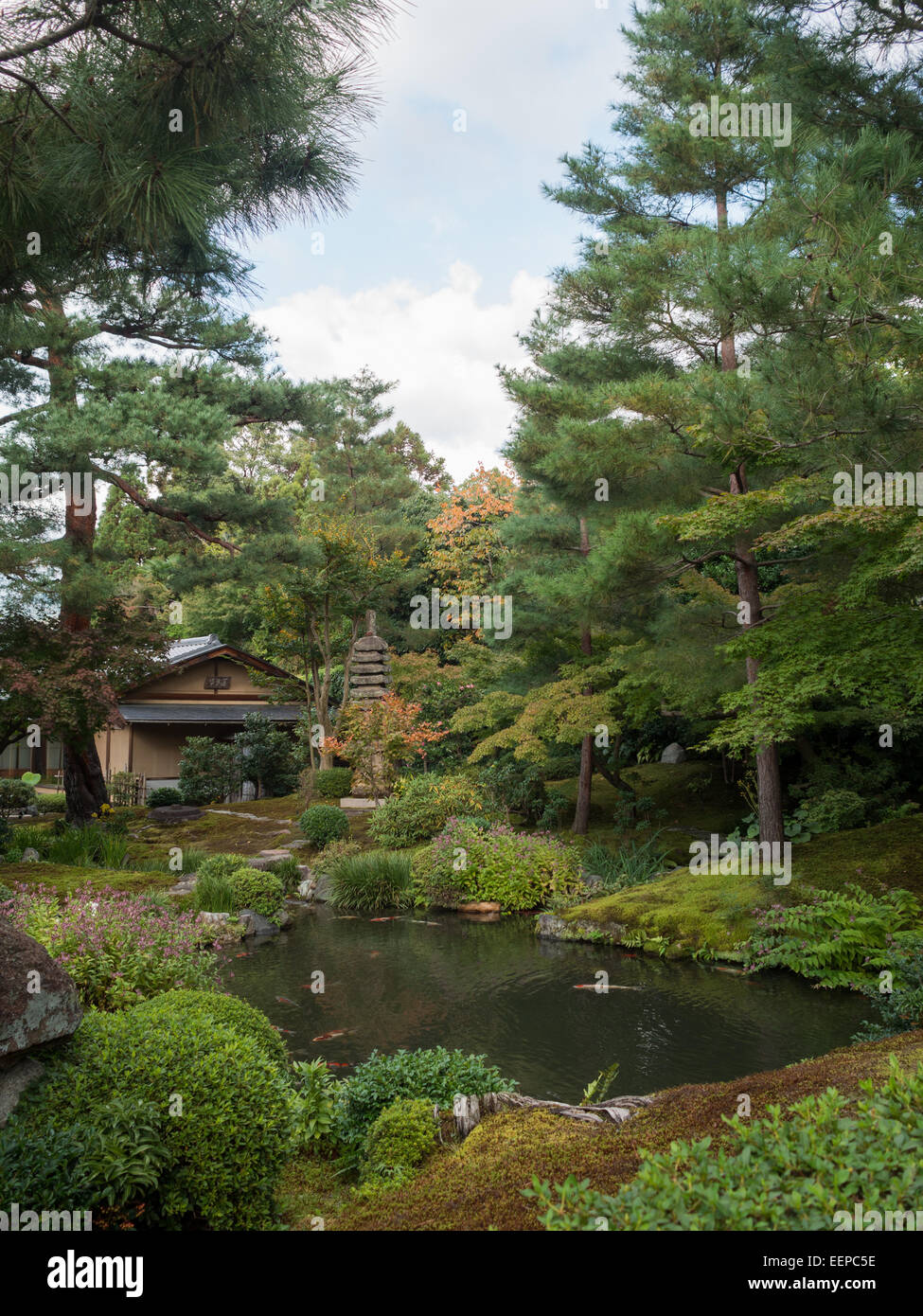 Buddhist temple pond hi-res stock photography and images - Alamy