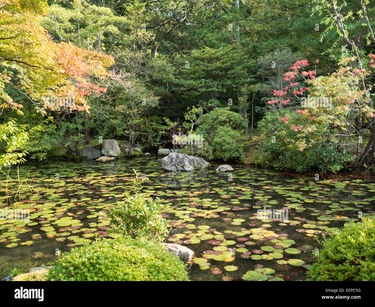 Kobori enshu garden hi-res stock photography and images - Alamy