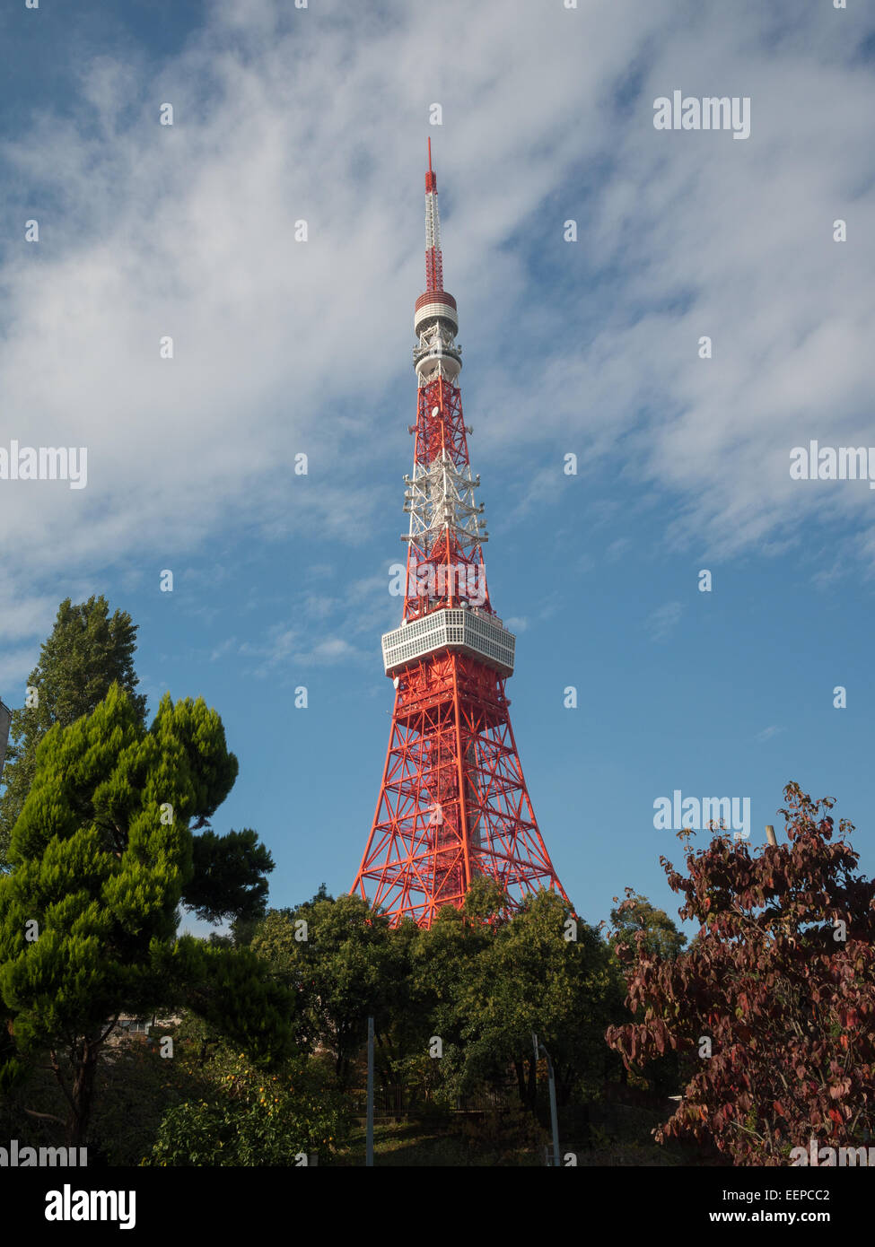 Tokyo Tower behind the trees Stock Photo - Alamy