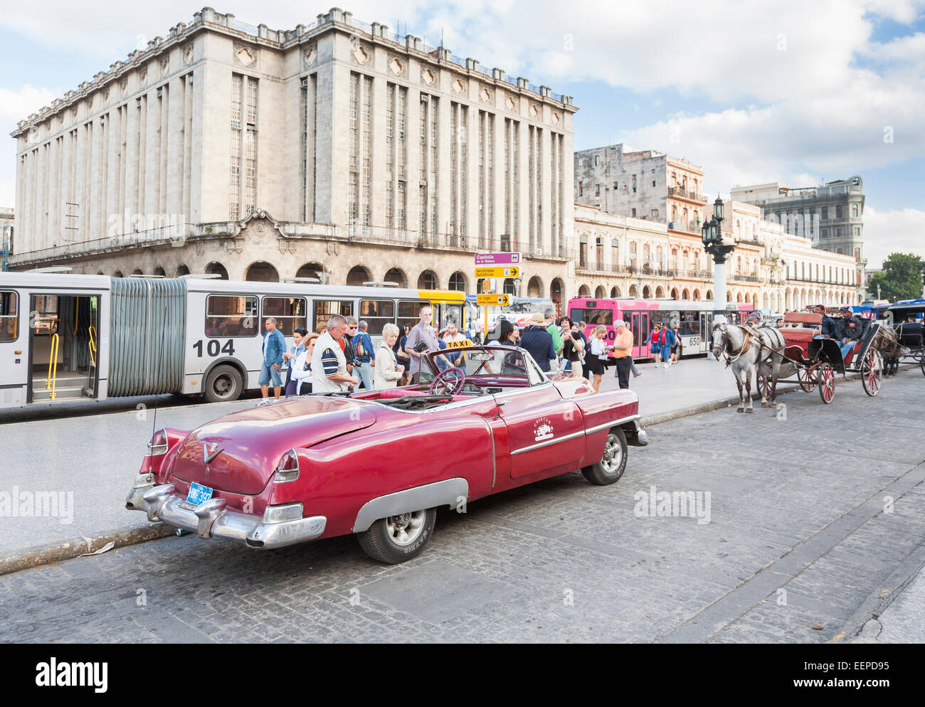 Sleek maroon vintage classic American convertible car operating as a ...