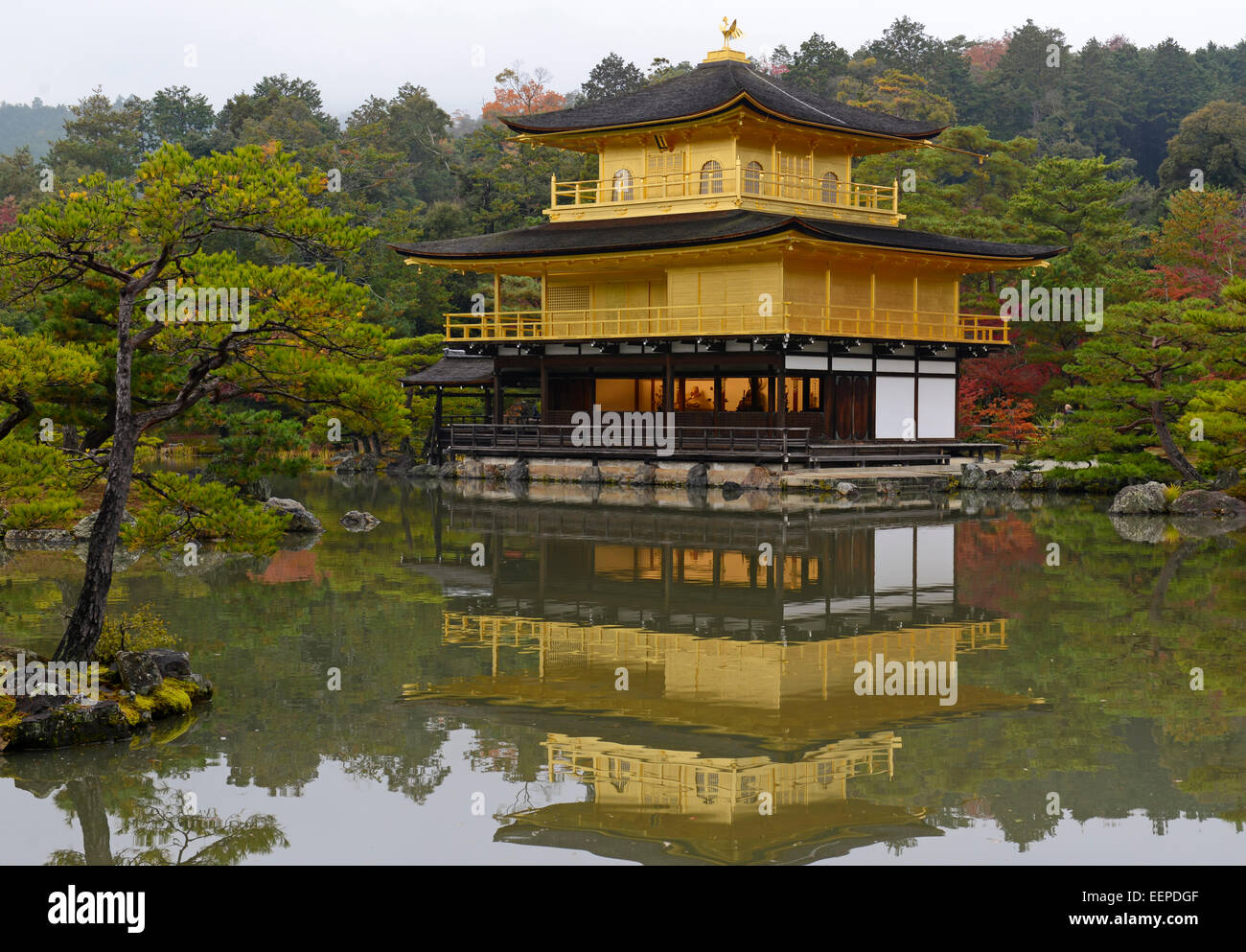 Kinkakuji shinto temple hi-res stock photography and images - Alamy