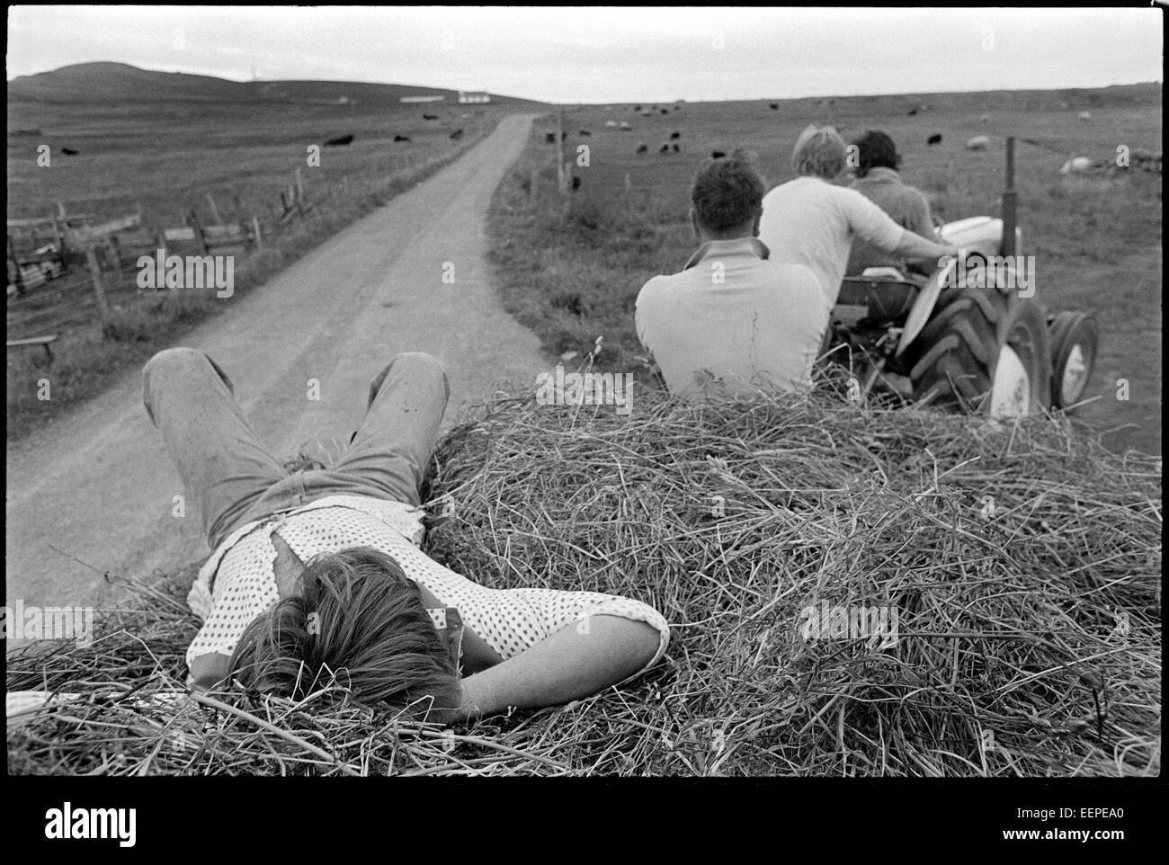 Harvest Tractor 70s Farming Crofting High Resolution Stock Photography ...
