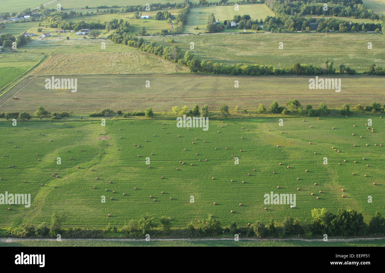 Aerial view of farm land. Purdy Field Fly-In. August 2014. Michigan ...