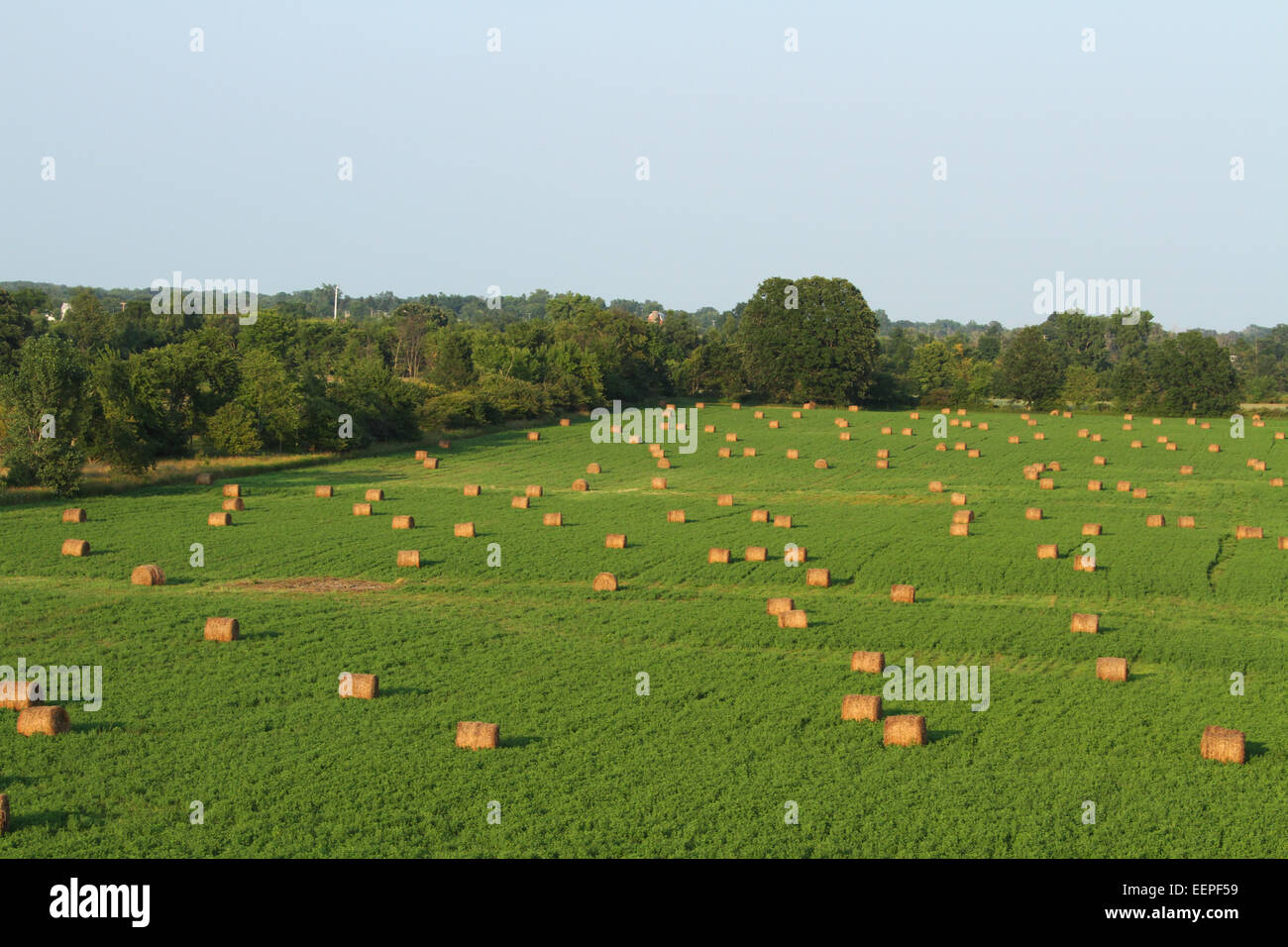 Aerial view of farm land. Hay bales. Purdy Field Fly-In. August 2014 ...
