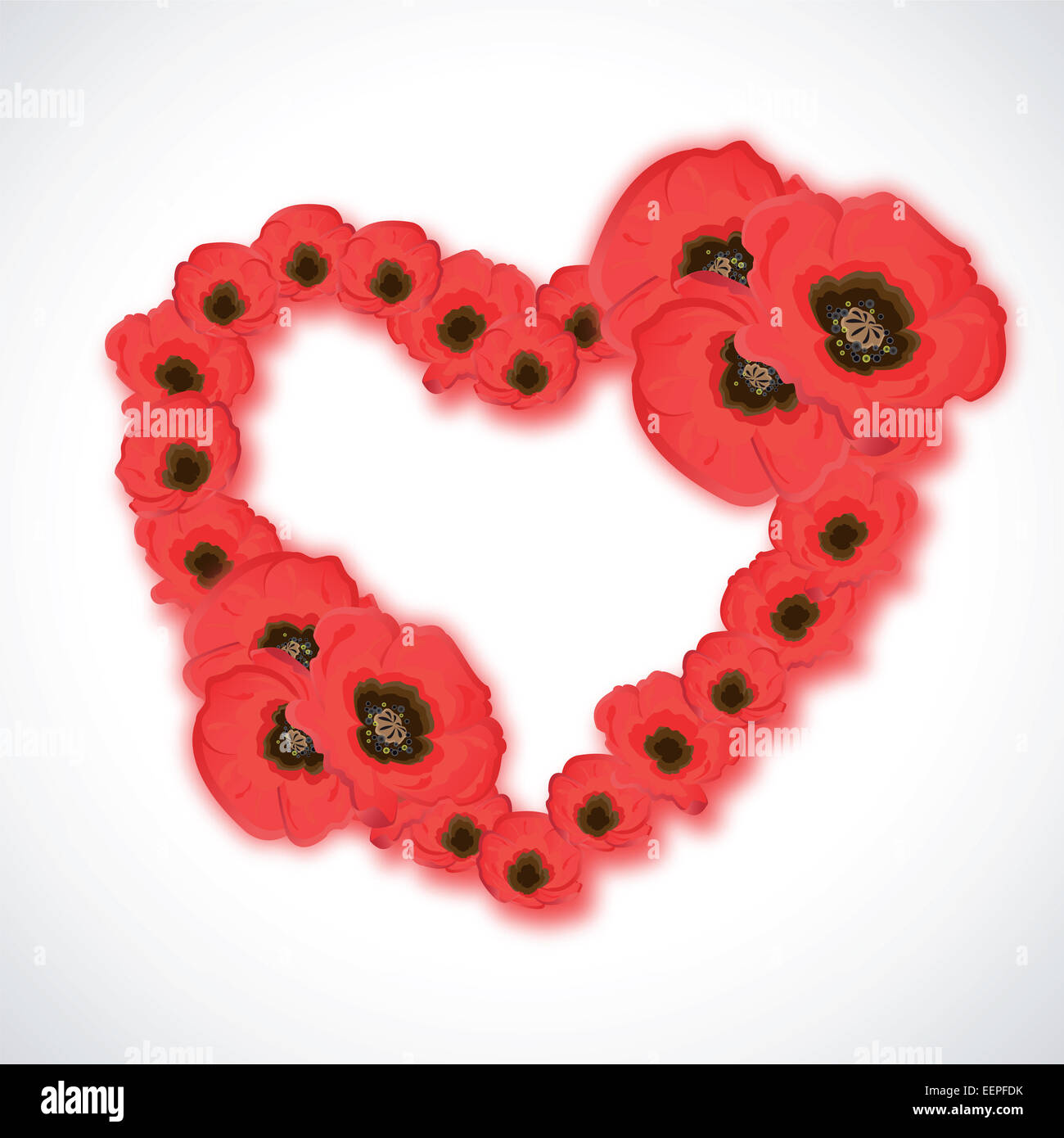 Heart shape made from poppy flowers on white background Stock Photo - Alamy
