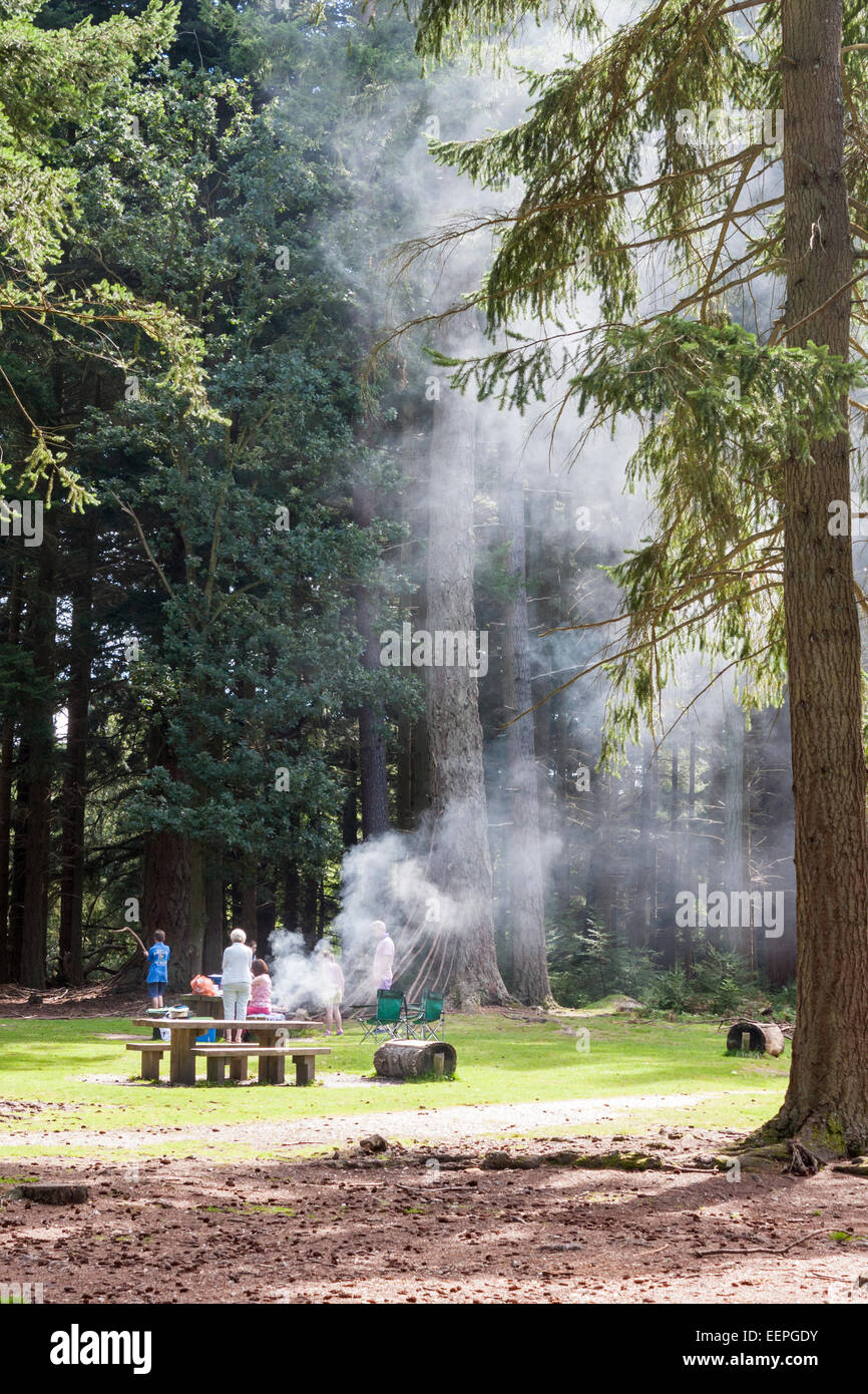 Family having a barbeque in the New Forest national park, Hampshire ...