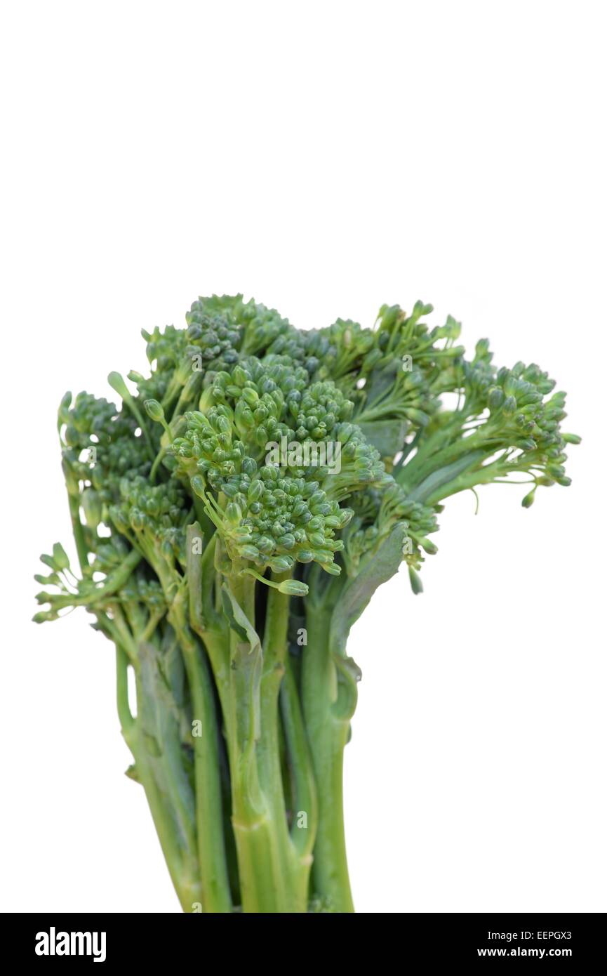 A close up shot of food preparation Stock Photo - Alamy