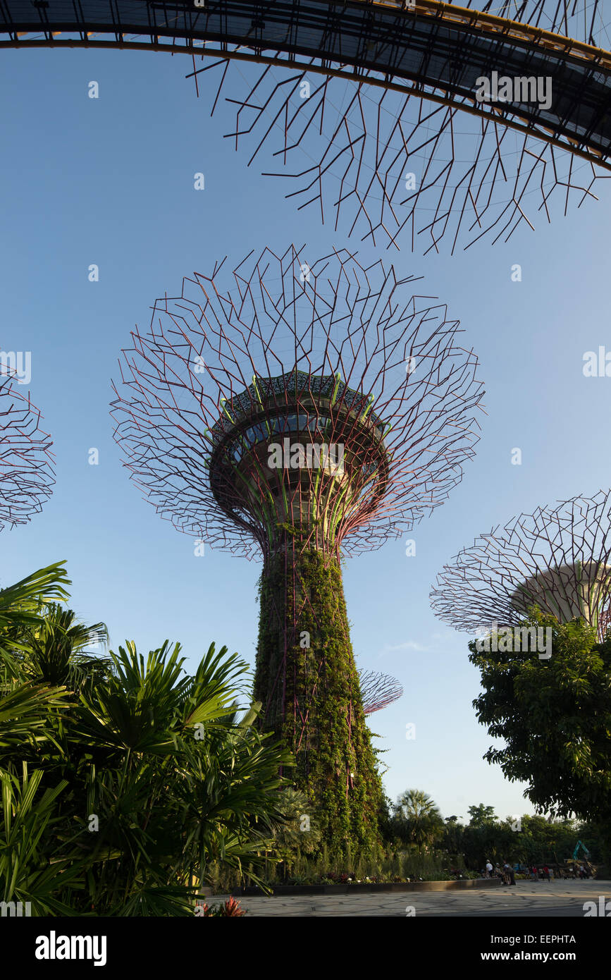 Gardens by the Bay and Super Tree Grove, Marina Bay, Singapore Stock ...